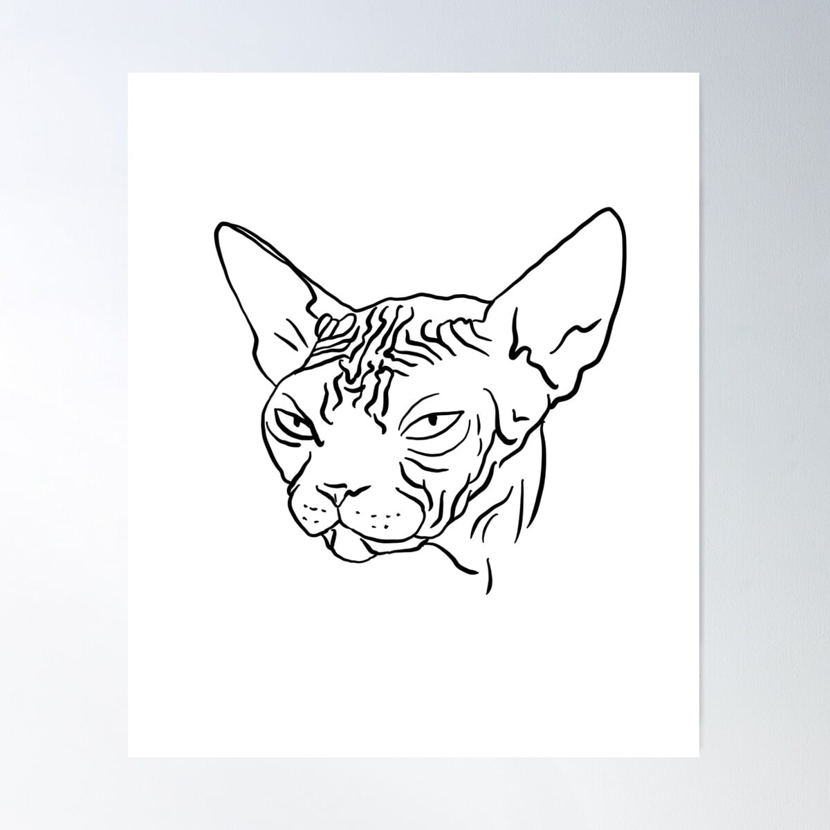 Wrinkly Grumpy Kitty - Hairless Sphynx Cat Line Art - Animal Drawing ...