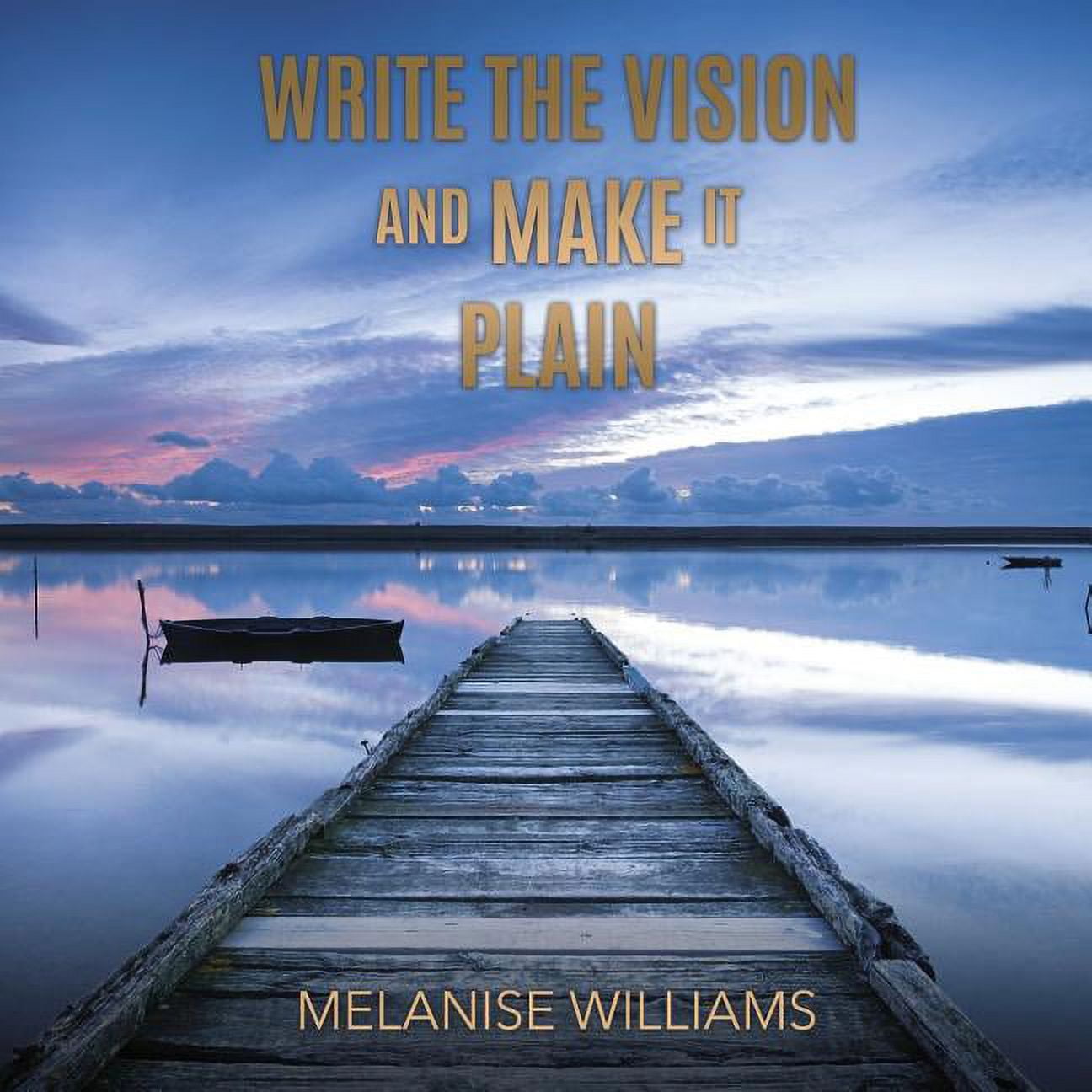 Write The Vision and Make it Plain, (Paperback) - Walmart.com