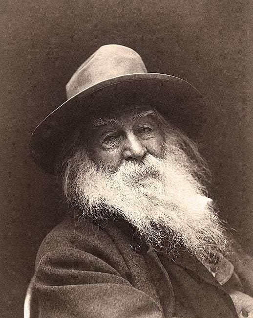 Writer Poet Walt Whitman Portrait 1887 - 24x36 Inch Laminated Aviation ...