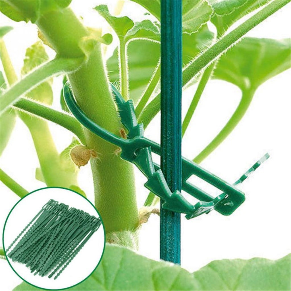 Wrjufa Garden Plant Ties Re-Usable Plastic Tie Greenhouse Multi Purpose ...