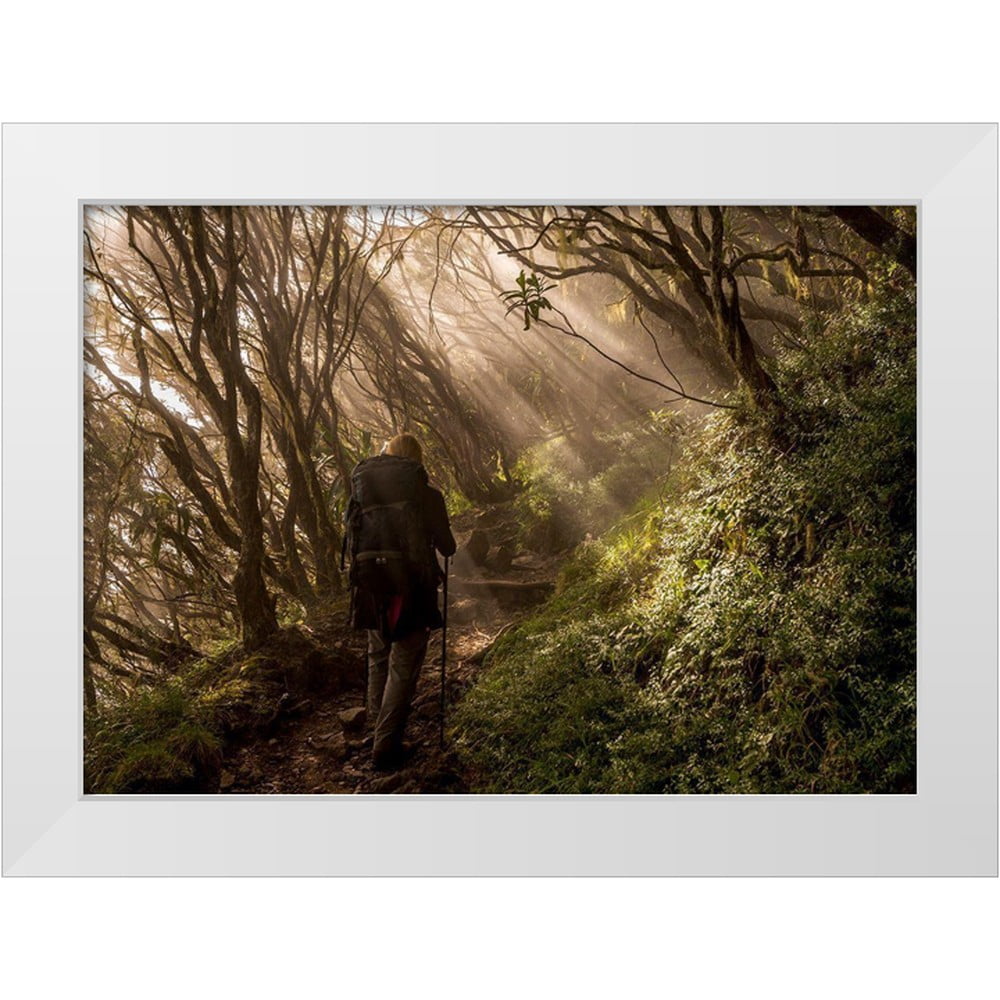 Wrobel, Karsten 18x14 White Modern Wood Framed Museum Art Print Titled ...