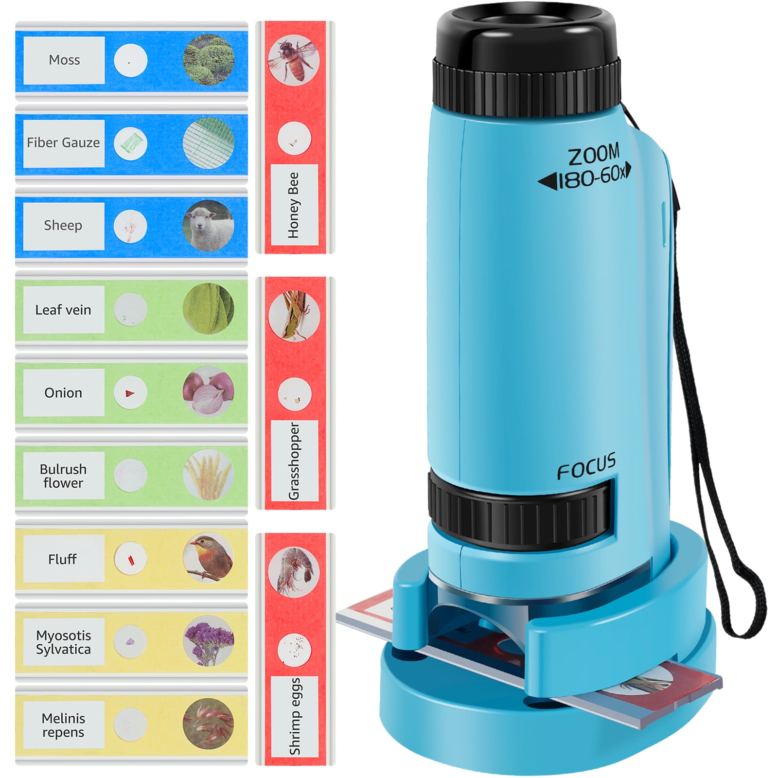 Wrvxzio Miniscope for Kids, Portable Handheld Mini Microscope, 60-180x ...