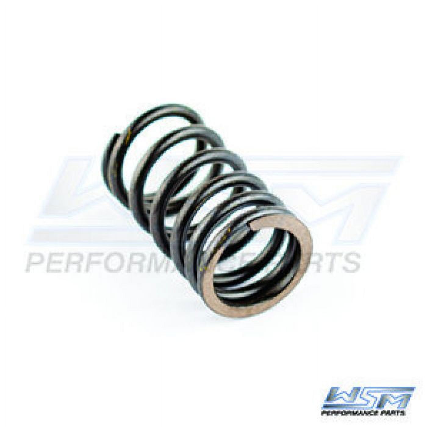 Wsm 010-030 Outer Valve Spring For Sea-Doo - Walmart.com