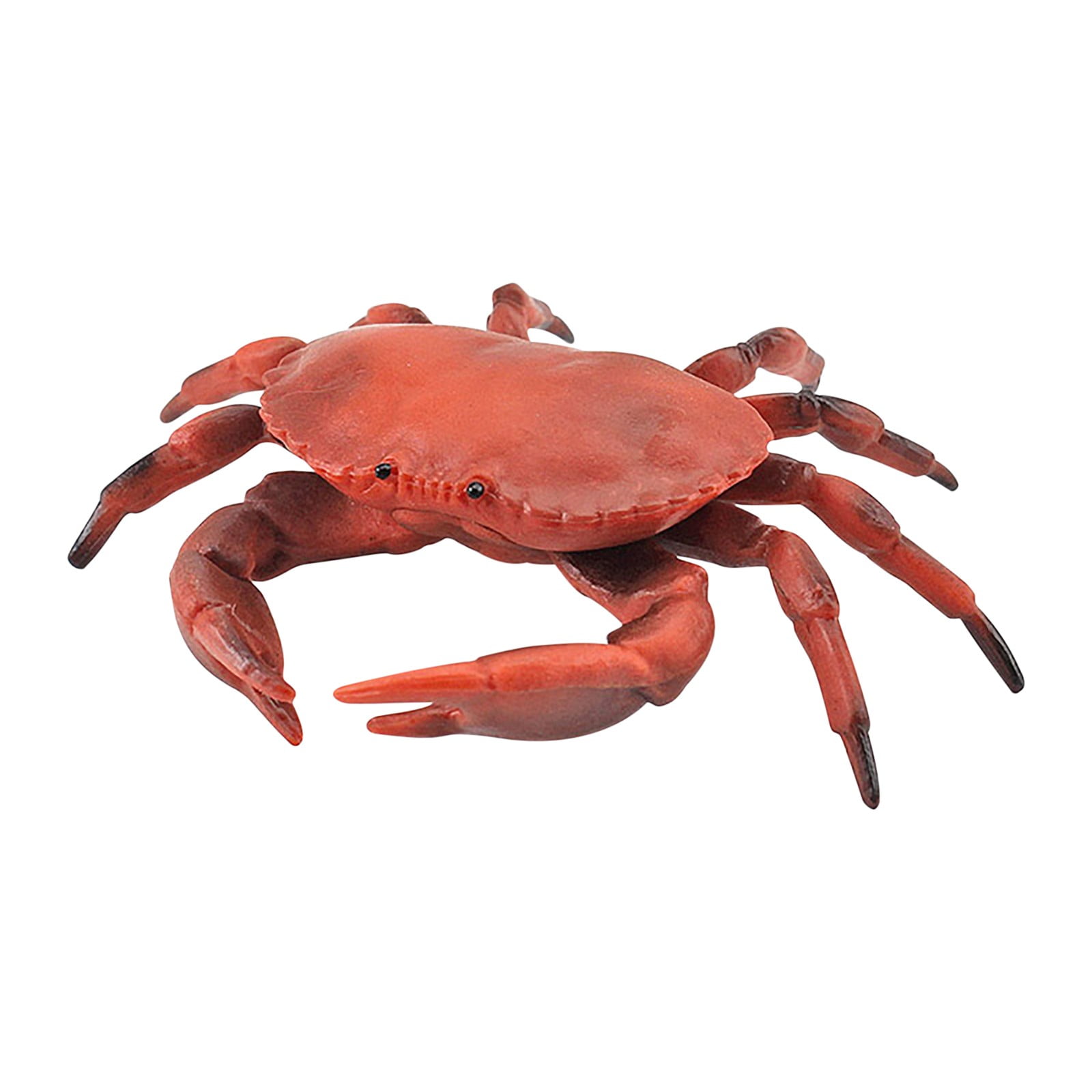 WtZbdo Realistic Crab Marine Animal Model Toys, Simulated Sea Life ...