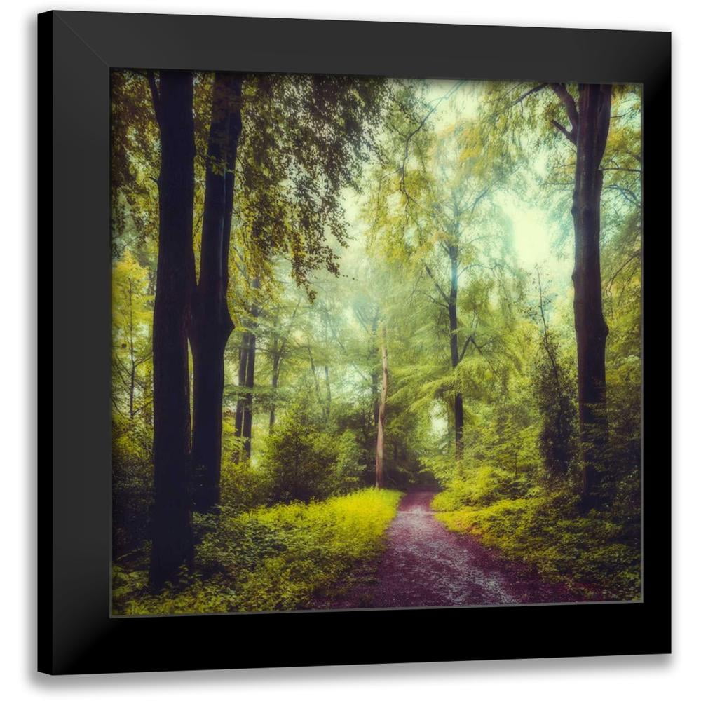 Wuestenhagen, Dirk 20x20 Black Modern Framed Museum Art Print Titled ...
