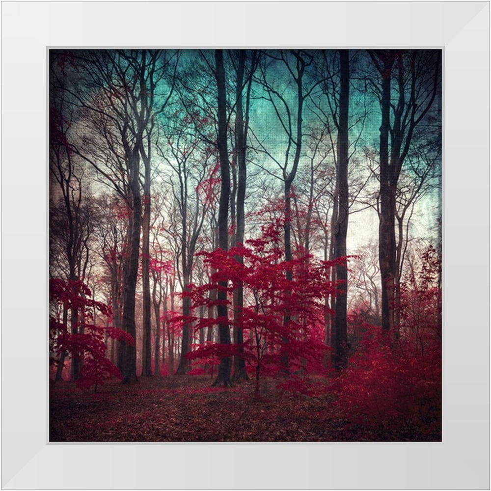 Wuestenhagen, Dirk 20x20 White Modern Wood Framed Museum Art Print ...