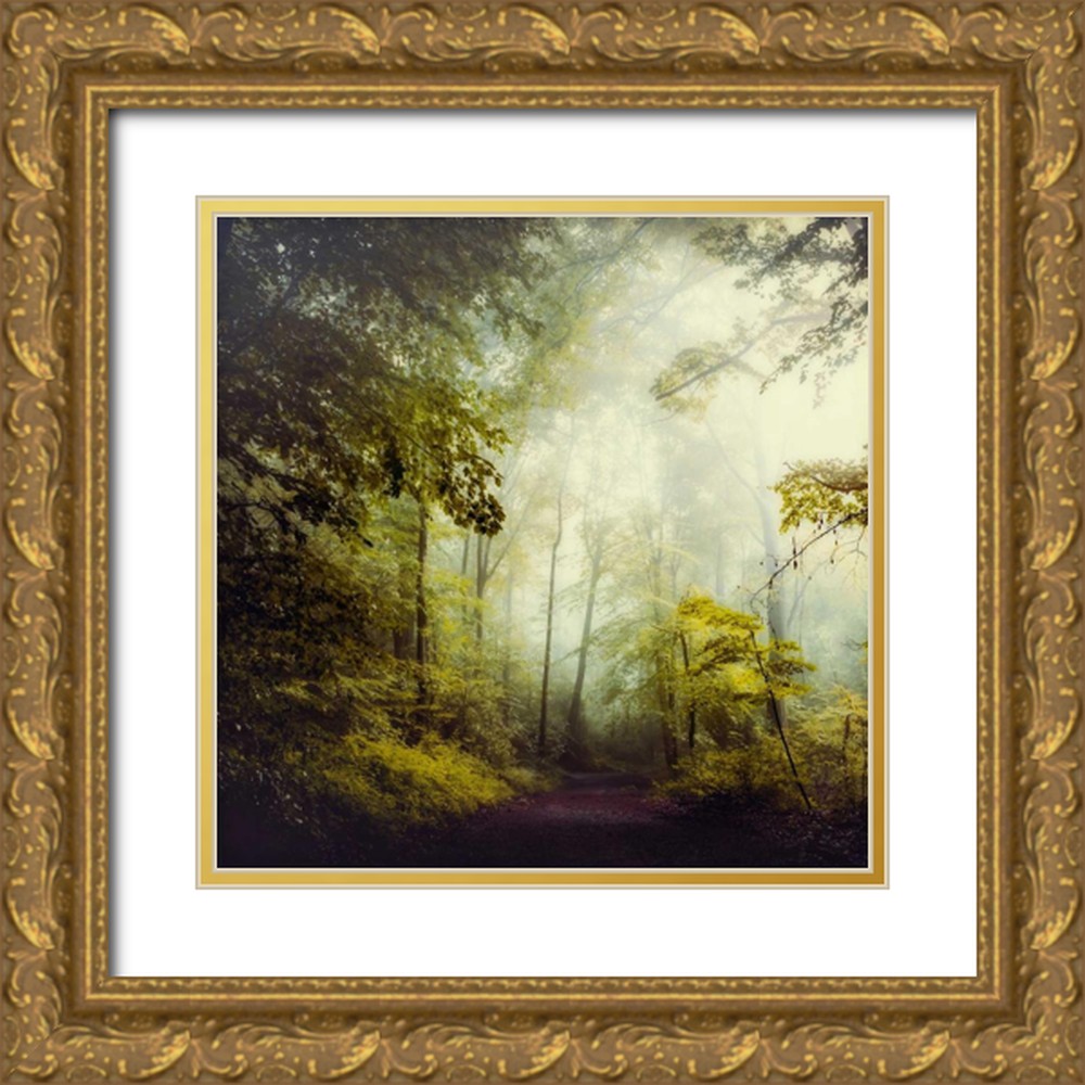 Wuestenhagen, Dirk 26x26 Gold Ornate Wood Framed with Double Matting ...