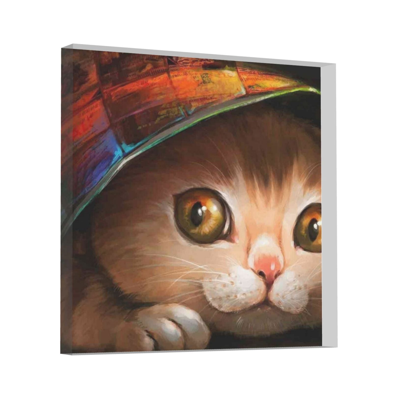 Wukai Animal Cat Print Elegant Acrylic Gift Decorations Perfect for ...