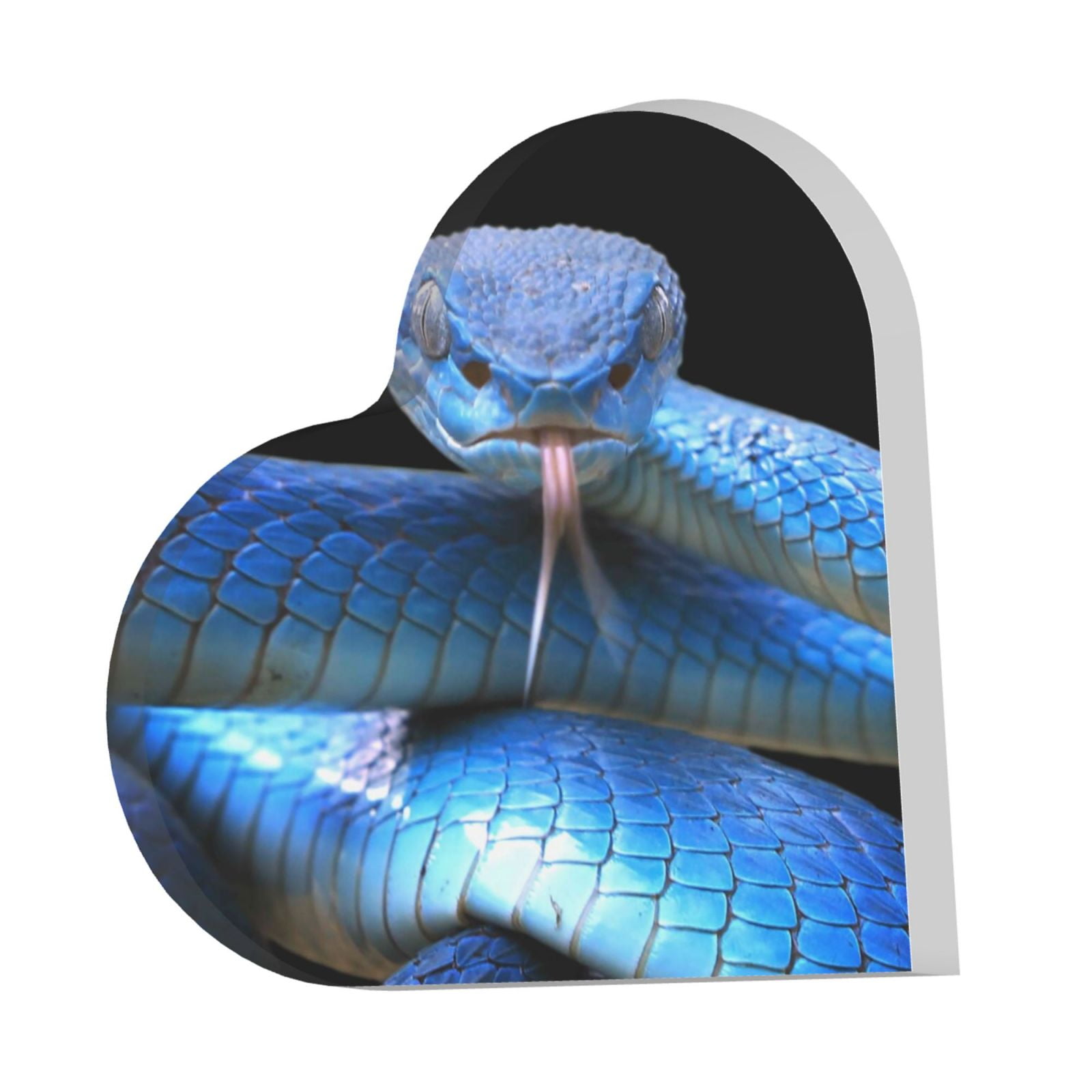 Wukai Blue Viper Snake Print Elegant Acrylic Gift Decorations Perfect ...