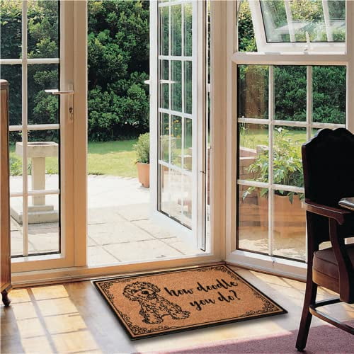 Wulidrom How Doodle You Do Low Profile Door Mat for Front Door Inside ...