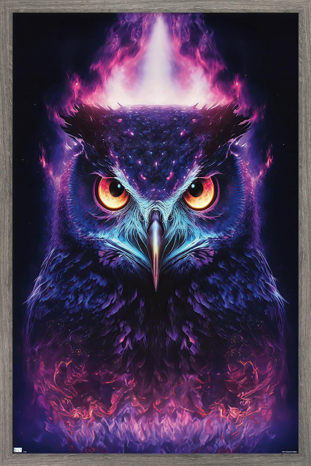 Wumples - Mystic Owl Wall Poster, 14.725" x 22.375" Framed - Walmart.com