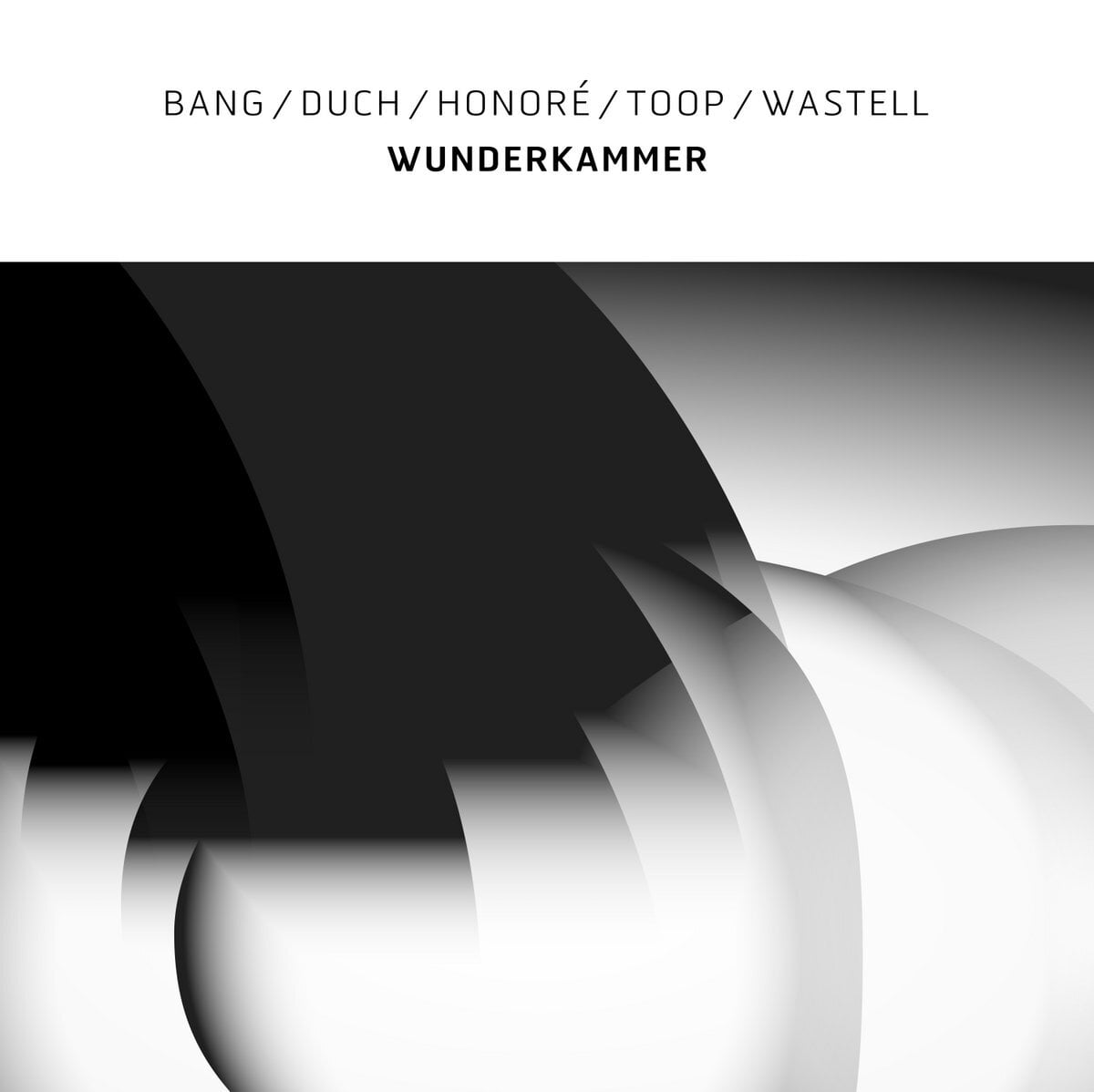 Bang/Duch/Honoré/Toop/Wastell Wunderkammer (Vinyl Record) 12" Album ...