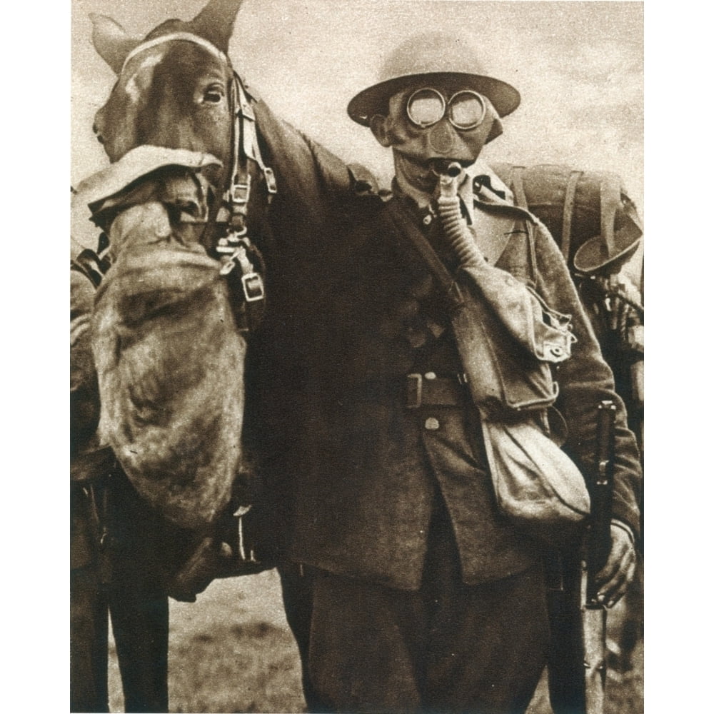 Wwi Gas Warfare. Nboth Soldiers And Horses Of The British Cavalry ...
