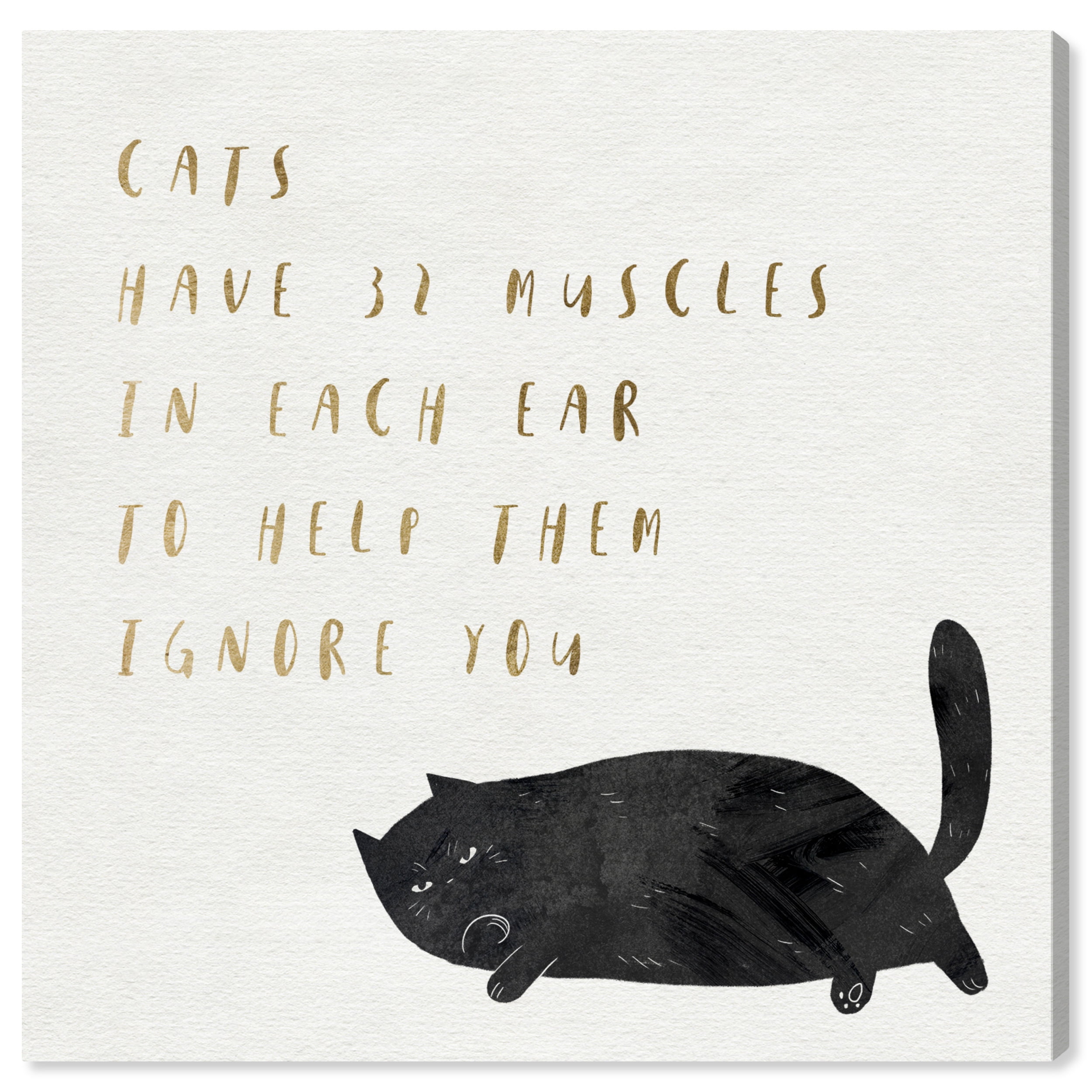 Wynwood Studio Canvas Cat Ear Muscles Animals Cats and Kitties Wall Art ...