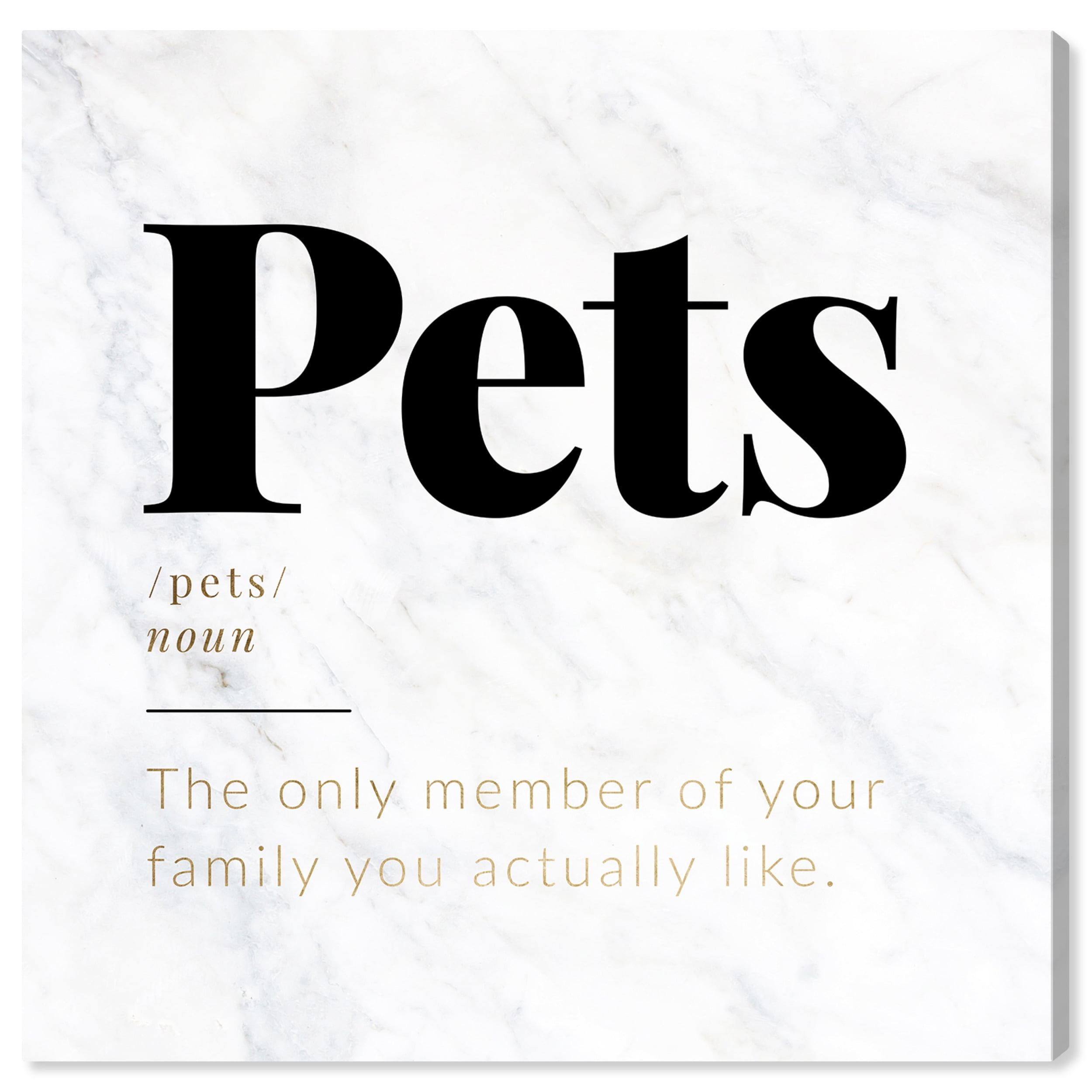 Wynwood Studio Canvas Pets Definition Animals Dogs and Puppies Wall Art ...