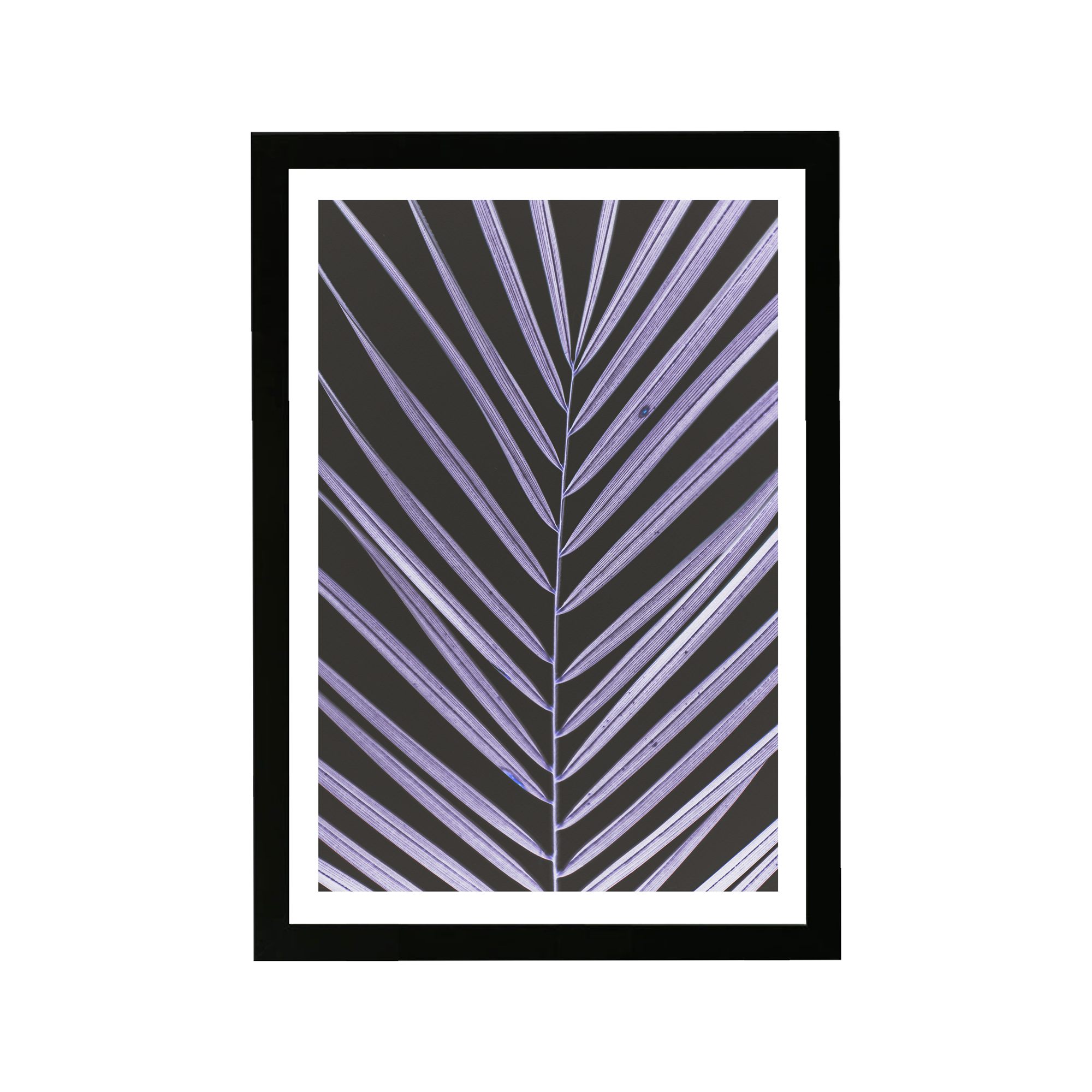 Wynwood Studio Floral and Botanical Framed Wall Art Prints 'Purple Palm' Botanicals Home Decor ...