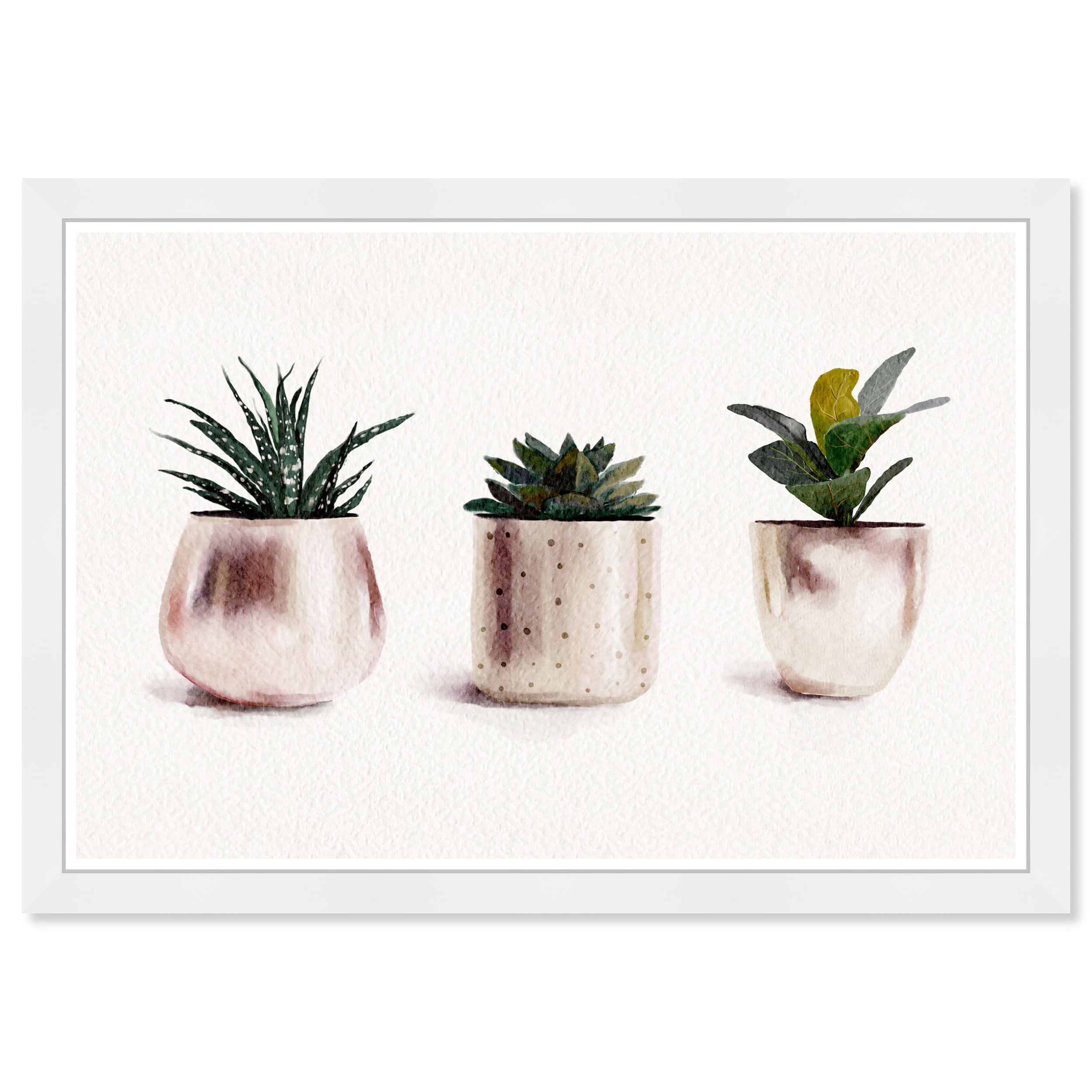 Wynwood Studio Succulents Wall Art Canvas Print - 19x13 - Walmart.com
