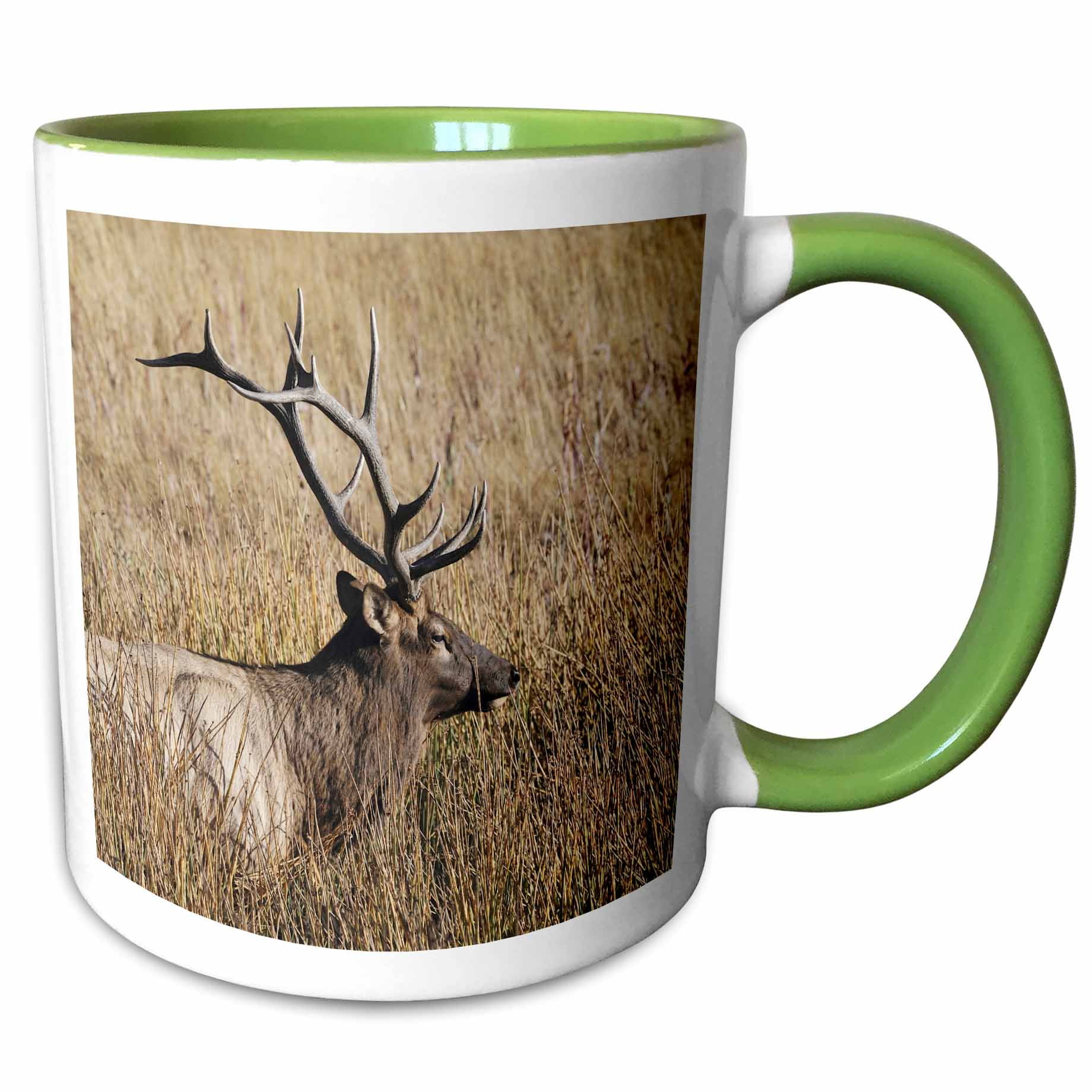 3drose, Wyoming, Bull Elk, Madison River, Yellowstone Np - Us51 Gre0008 ...
