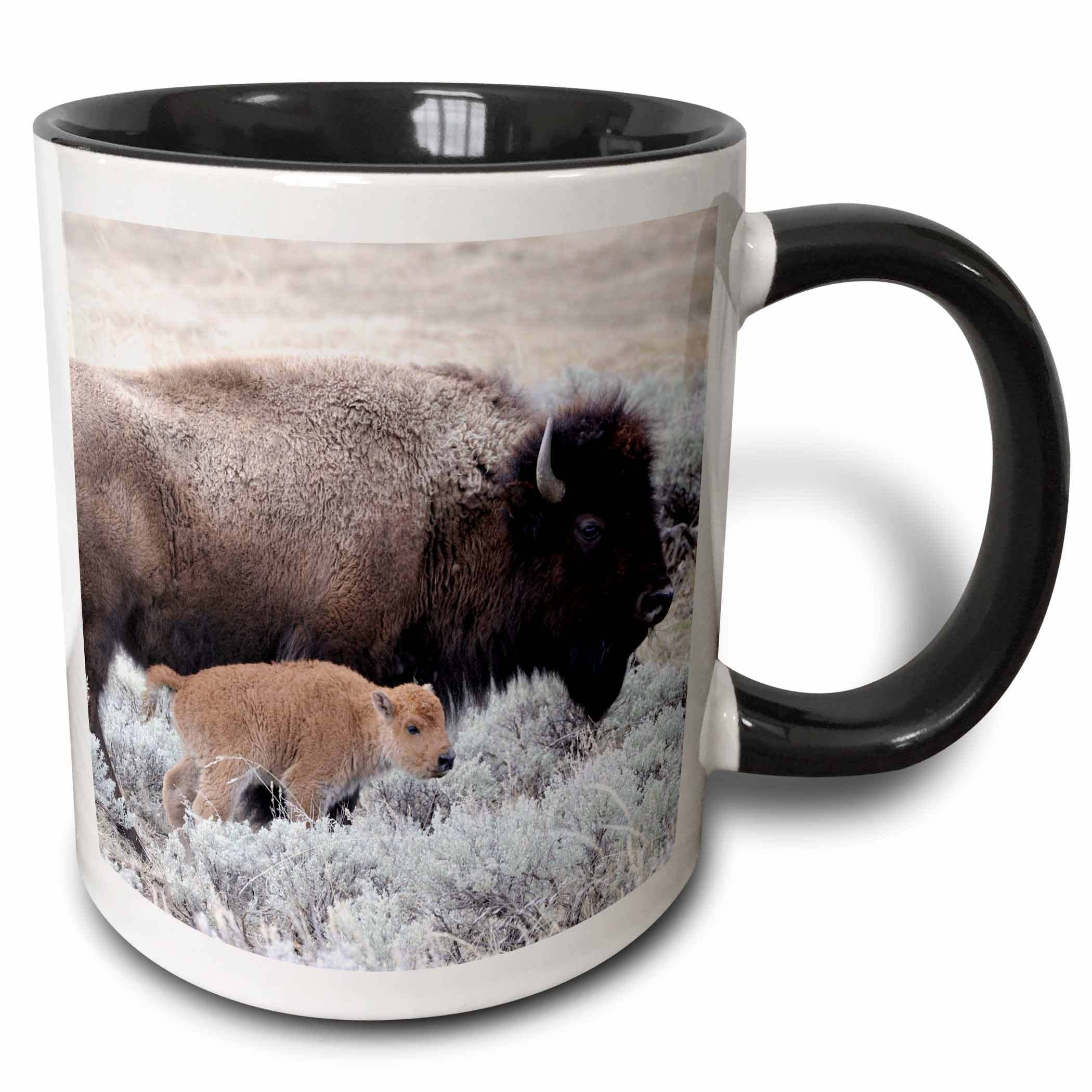 3drose, Wyoming, Cow, Bison, Yellowstone National Park - Us51 Gre0044 ...