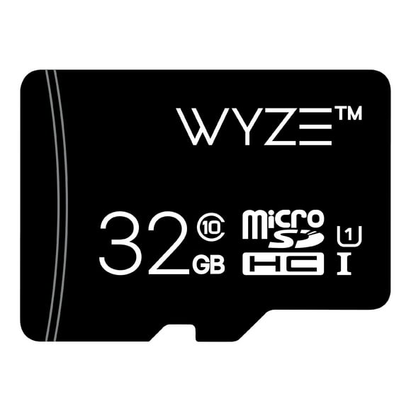 32 GB Micro SD Cards