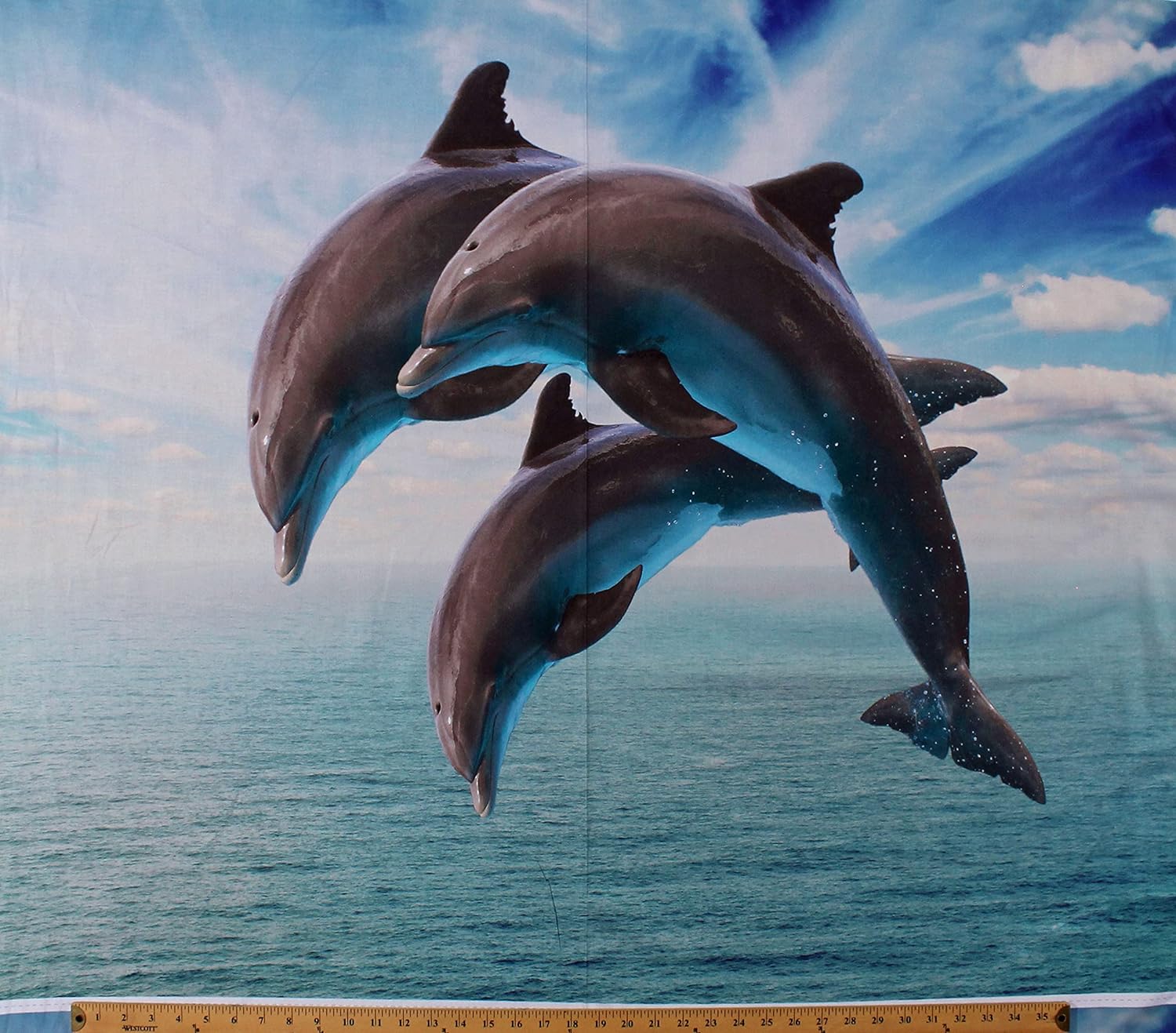 X 44" Panel Three Dolphins Jumping Ocean Beach Summer Blue Cotton ...