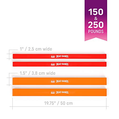 The X Bands Dead Bands Premium Weightlifting Resistance Loop Band for ...