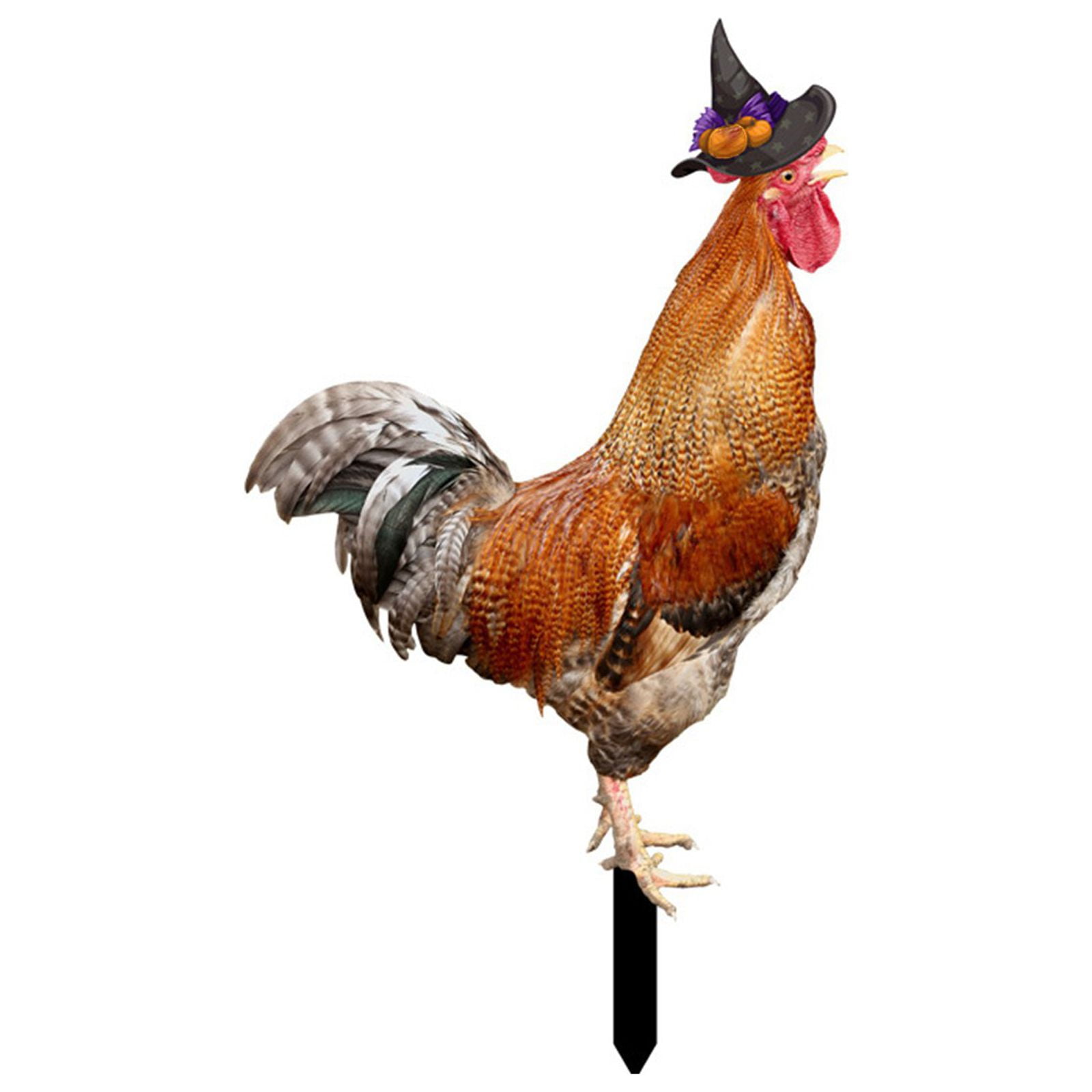 X Banner Stand Metal Name Sign Graduation Signing Book Go2garden Solar ...