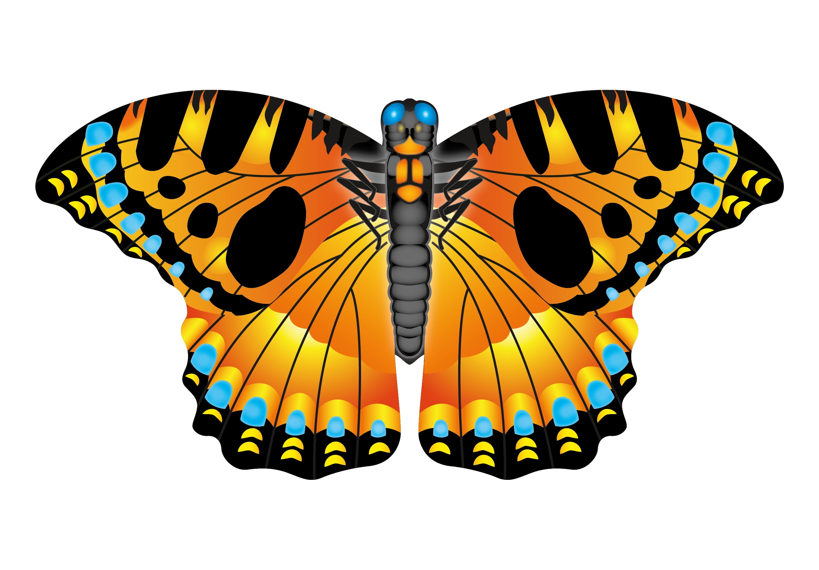 X Kites Nylon Butterfly Orange Kite with Handle, Line, and Fiberglass ...