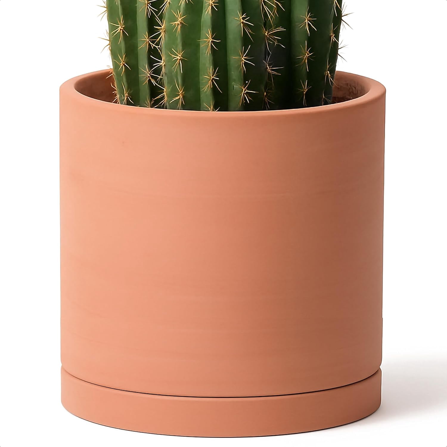 X-Large 12 Inch Terracotta Plant Pot with Drainage Hole and Saucer ...