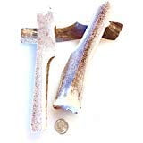 X-Large Quartered Split Elk Antler 2 Pack - Elk Antler Dog Chew - Grade ...