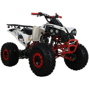 Coleman Powersports AT200R 169cc Adult Gas ATV, High-Speed Off-Road ...