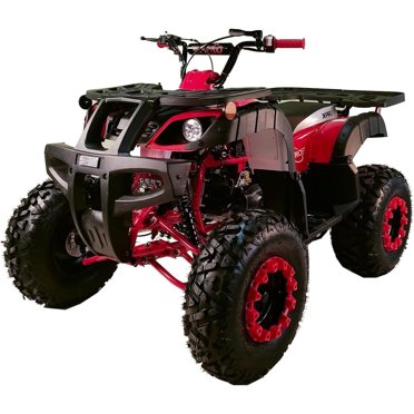 Tao Motor 125 T-FORCE Platinum 120cc Gas Powered Quad Wheeler All ...