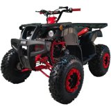 X-Pro 200cc Gas Powered Adult ATV Quad, Full Size 4 Wheeler with ...