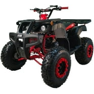 Massimo Motors MSA450F EFI 352cc 25 HP 4 Stroke Engine ATV Blue with ...