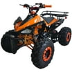 RPS Outlander Kids 125cc ATV Quad with Automatic Transmission, Four ...
