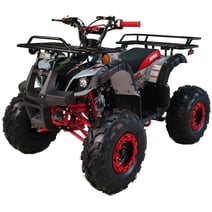 X-Pro New Rover 125cc Gas Powered Go Kart 3 Semi-Automatic Transmission ...
