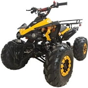 Blaster Atv