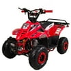 "X-Pro 40cc 4-Stroke Kids Mini Gas ATV with Pull Start, Speed Governor ...