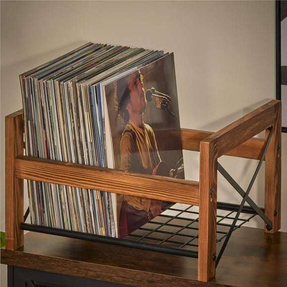 Record Album Storage
