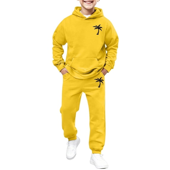 XAOFW Boy's Outfit Sets Graphic Print Long Sleeve Hoodie And Sweatpants ...