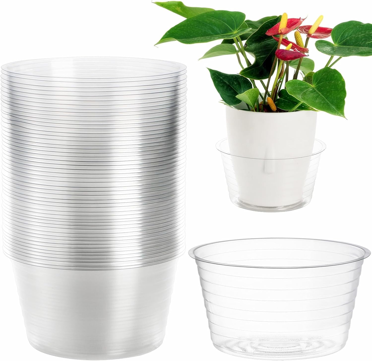 XD-50 Pack Clear Plastic Plant Saucer Drip Tray for Pots, 6 Inch Deep ...