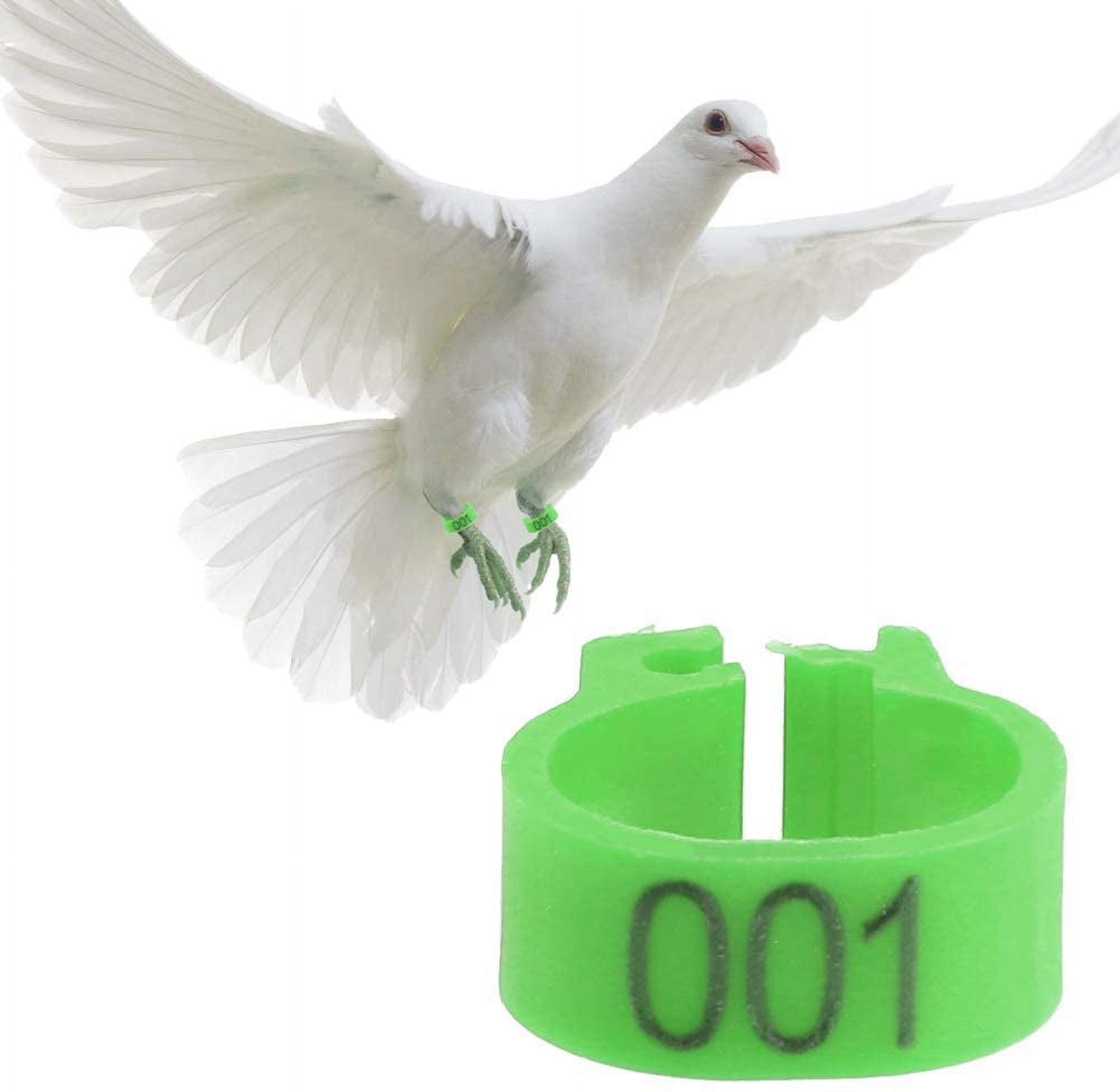 XD-Bird Leg Rings 8 mm Bird Leg Clip Rings Plastic Pigeon Leg Bands ...