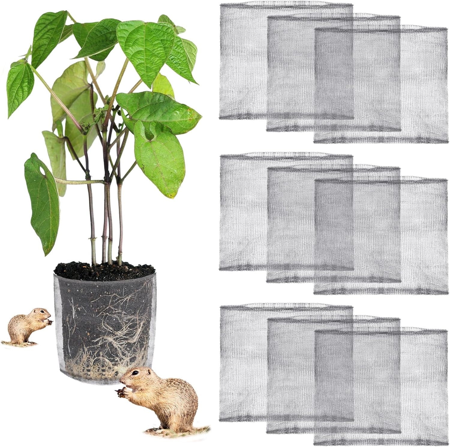 XD2-10 Pcs Gopher Baskets, Gopher and Vole Wire Baskets Stainless Steel ...