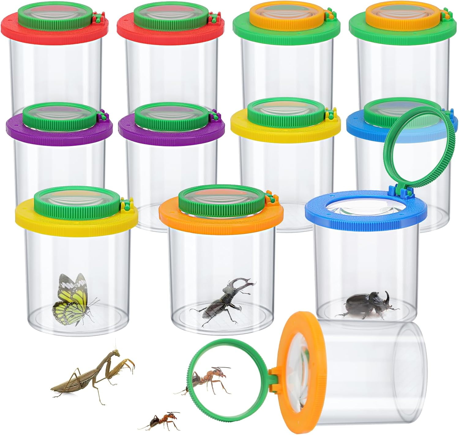 XD2-12 Pieces Magnifying Insect Box Bug Viewer Critter Insect Cage Bug Magnifier Container Bug ...