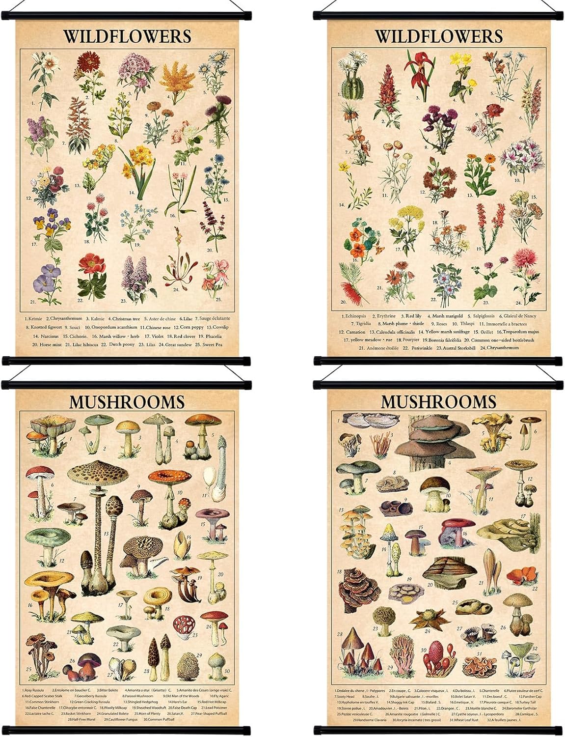 XD2-4 Pcs Vintage Mushroom Wildflowers Poster Fungus Butterfly Tree ...