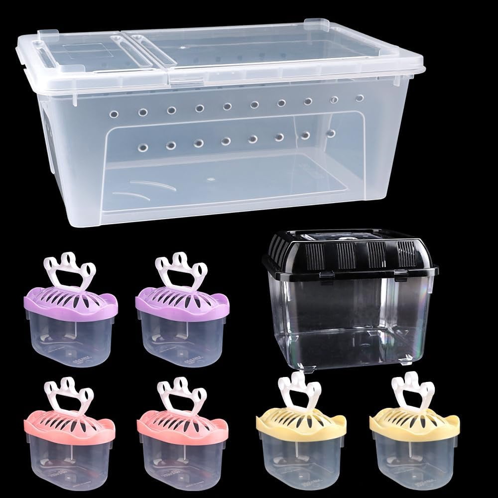 XD2-8 Pack Reptile Feeding Box Set Snake Plastic Breeding Box for ...