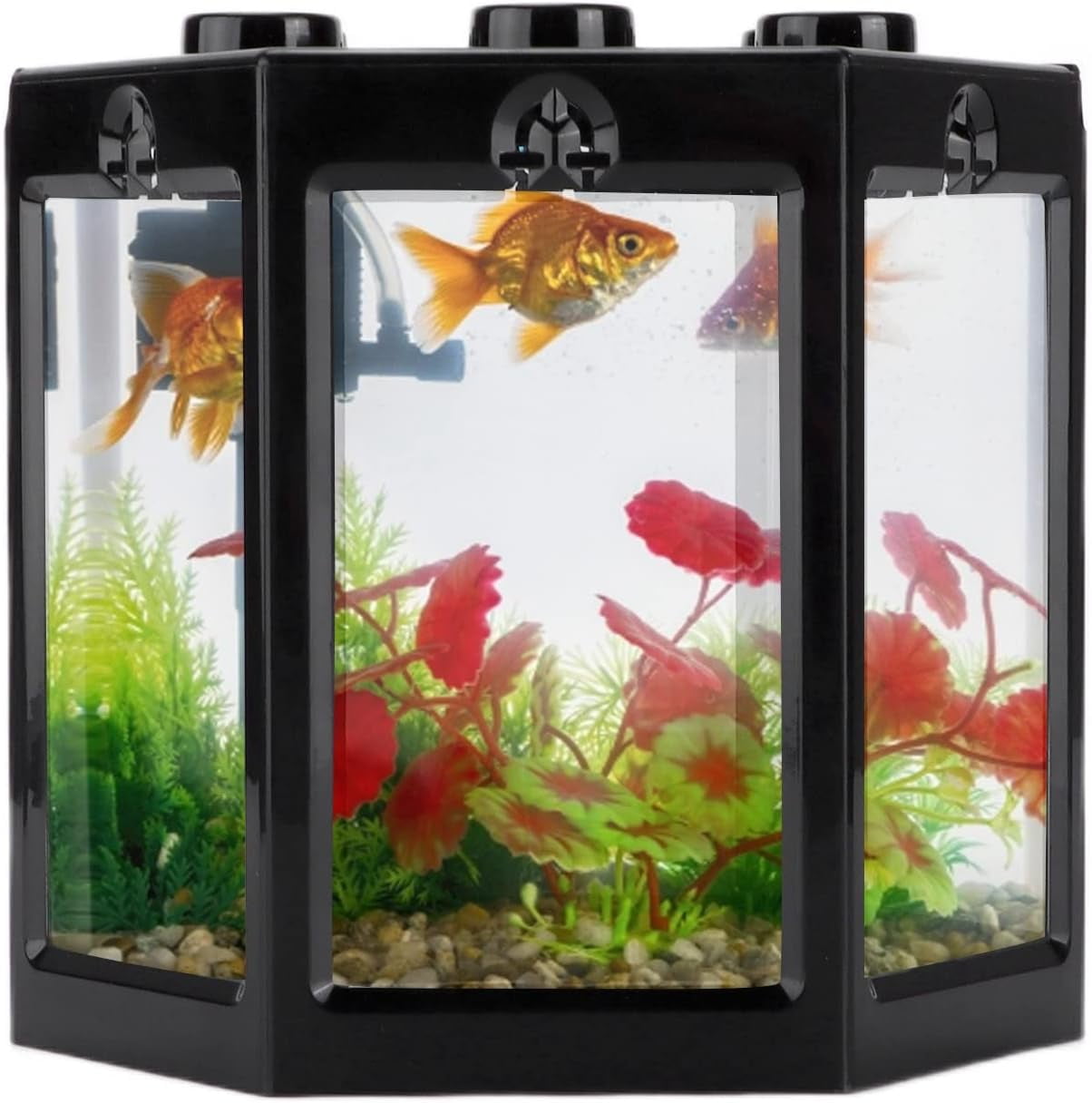 XD2-Betta Aquarium Starter Kits, Small Aquarium Fish No Clean Corners ...