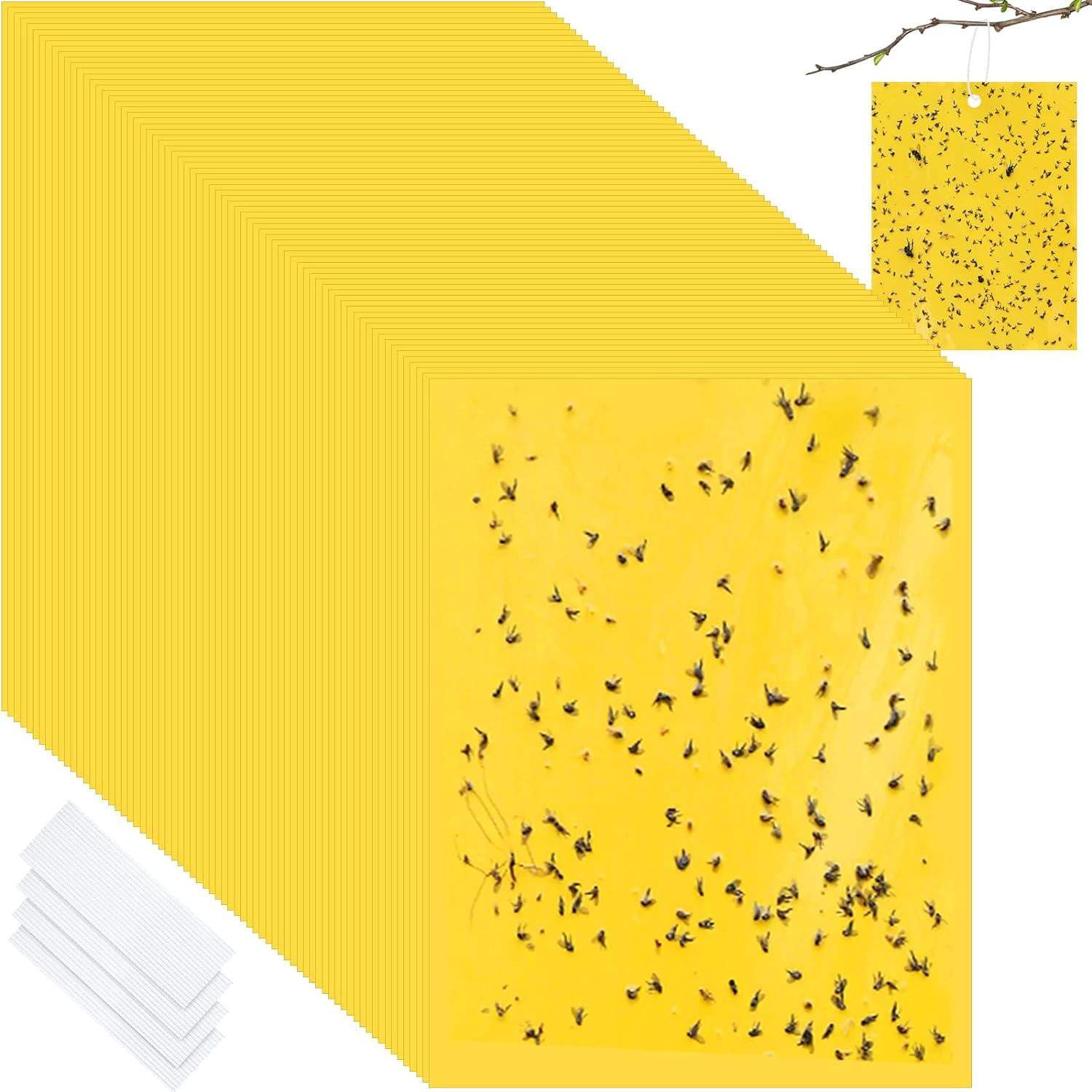 XD3-100 Pcs 6 x 8 Inch Sticky Traps for Plant Double Sided Sticky Trap ...