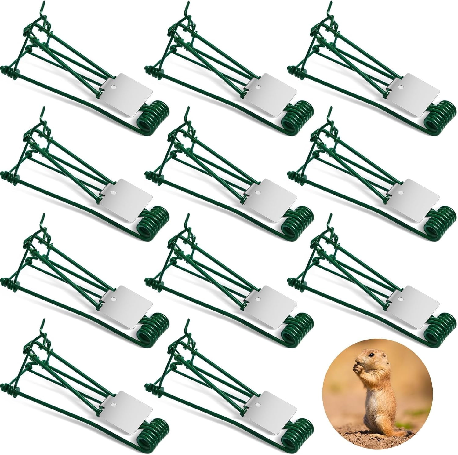 XD3-2 Pcs Outdoor Gopher Trap Easy Set Mole Trap Weather Resistant ...