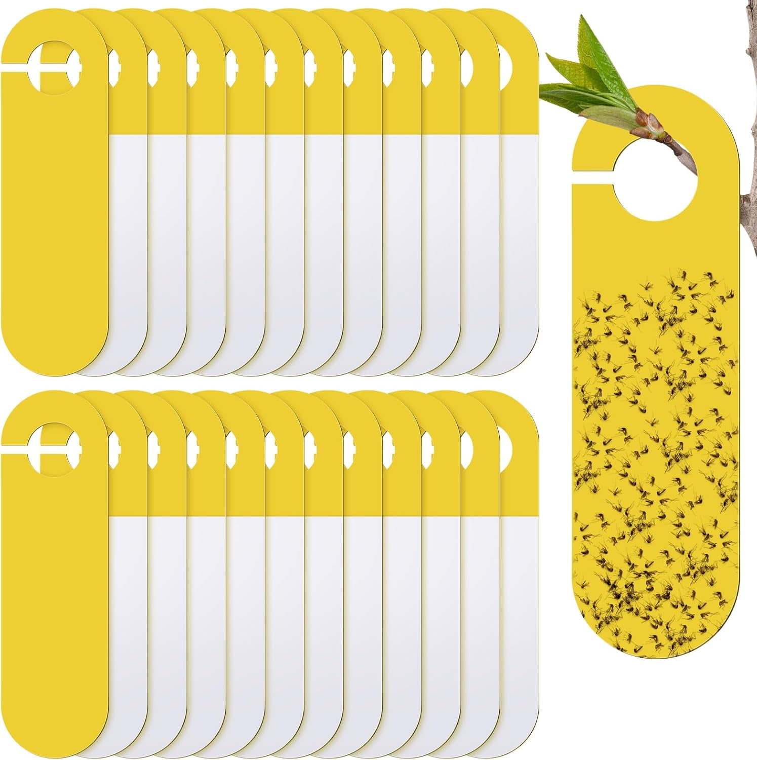 XD3-50 Pack Yellow Sticky Hanging Traps Dual Sided Fungus Gnat Traps ...